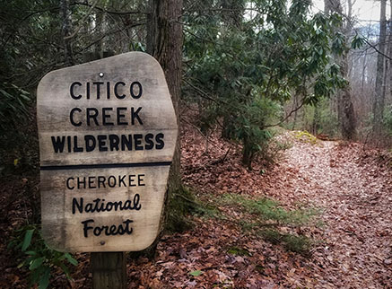 Parks vs Forests. What Is The Difference? - Friends of the Cherokee ...