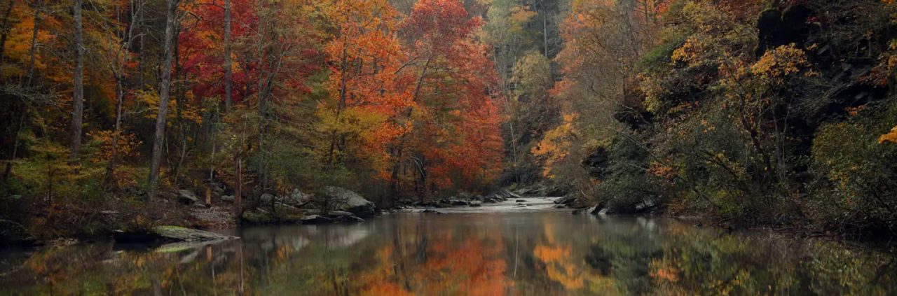 Parks vs Forests. What Is The Difference? - Friends of the Cherokee ...